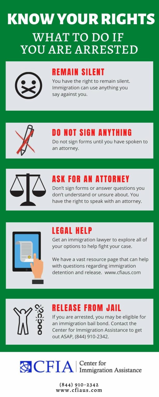 Know Your Rights: Printable Handouts from the American Immigration ...