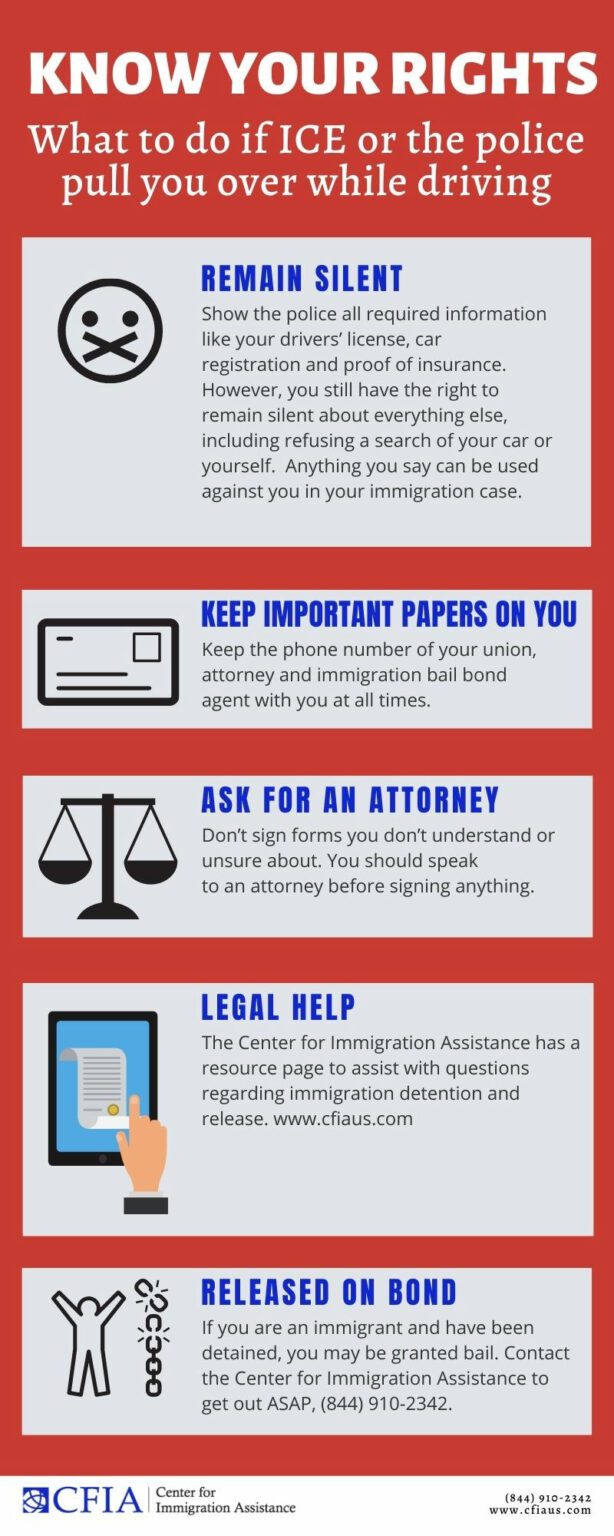 Know Your Rights: Printable Handouts from the American Immigration ...