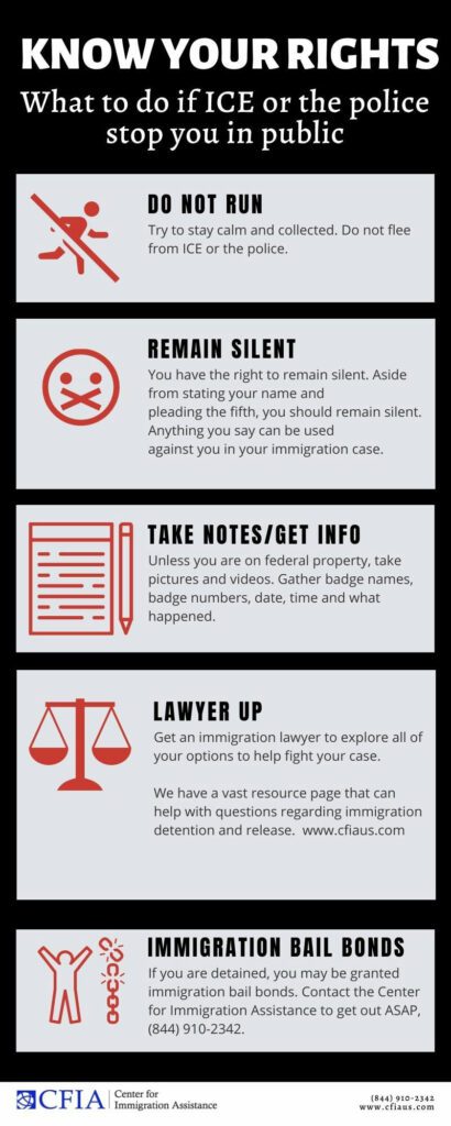 Know Your Rights: Printable Handouts from the American Immigration ...
