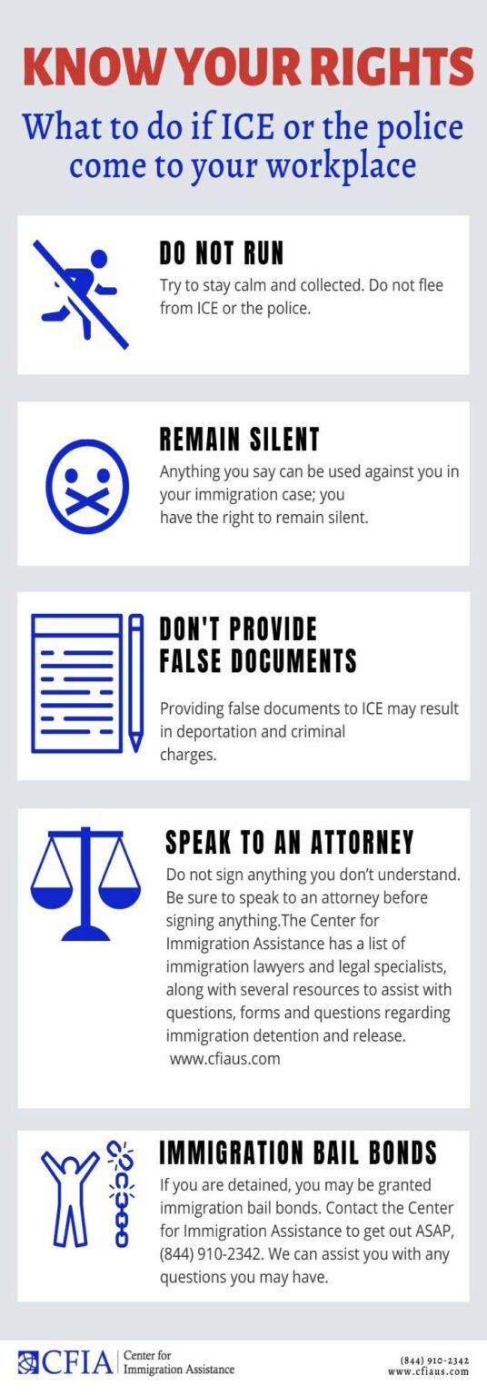 Know Your Rights: Printable Handouts from the American Immigration ...